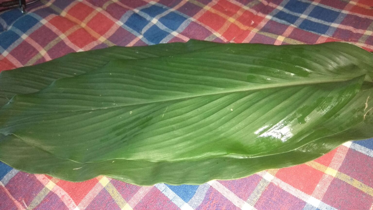 Haldi Patra Pitha - Awesome Odian Traditional Dish